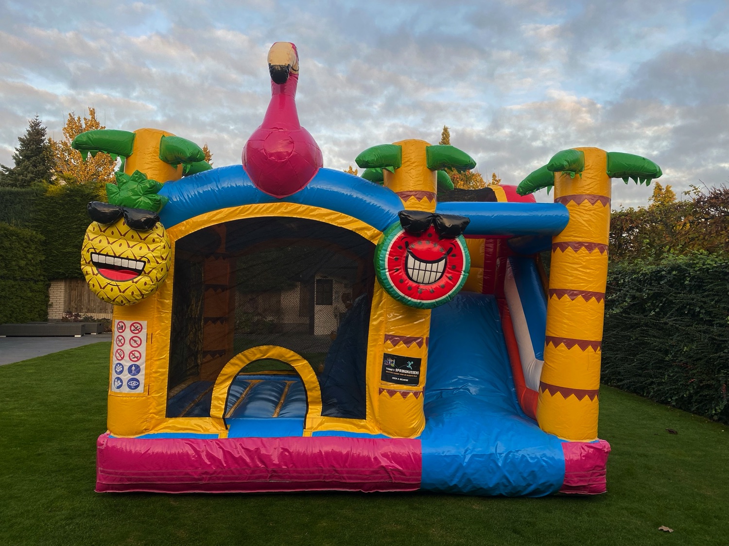Jumpy Happy Flamingo | Tommies Springkussens | Uden en Helmond